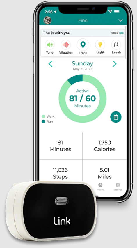 Find Out Why This Smart Pet Wearable is a Game Changer - PINAPPOS